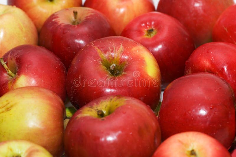 Lots of apples stock image. Image of natural, tasty, fruits - 6107739