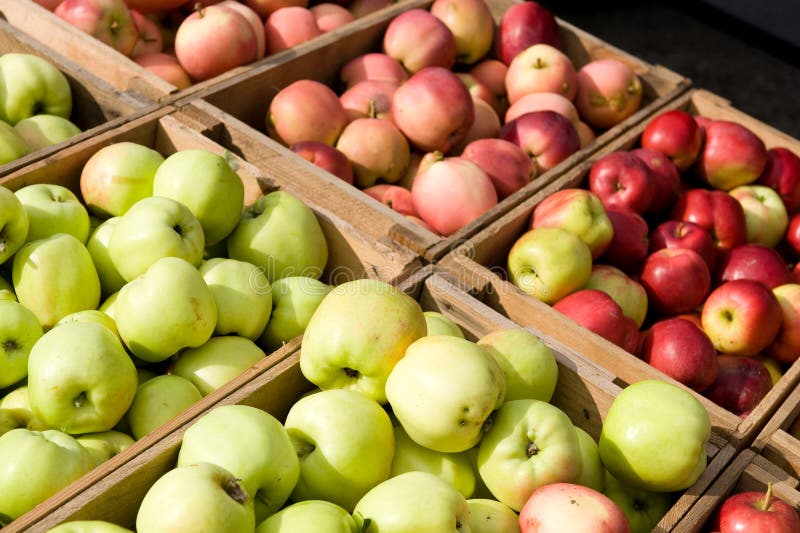 Lots of apples stock photo. Image of healthy, fruit, apple - 6887834