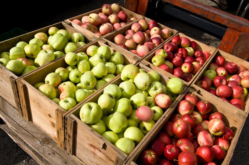 Lots of apples stock image. Image of apple, traditional - 6887911