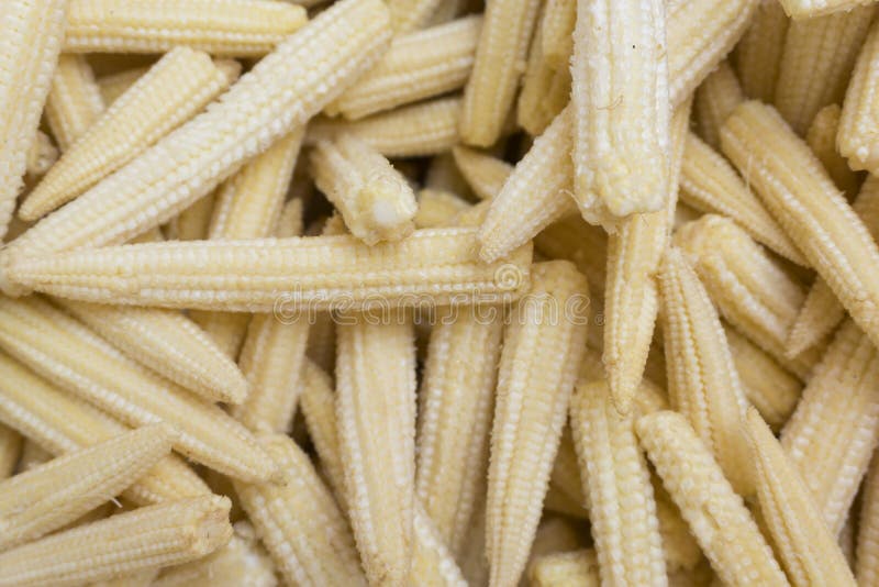 Lots of Baby Corn on the Tray Stock Image - Image of fruit, yellow ...