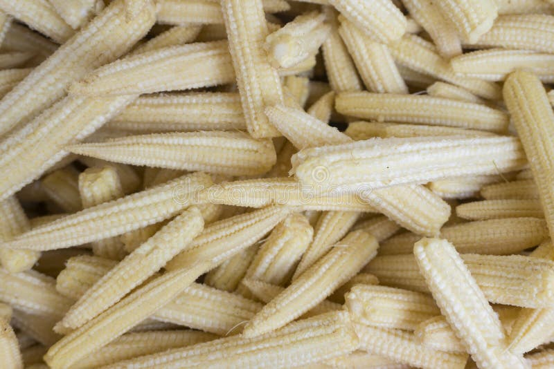 Lots of Baby Corn on the Tray Stock Image - Image of meal, cuisine ...