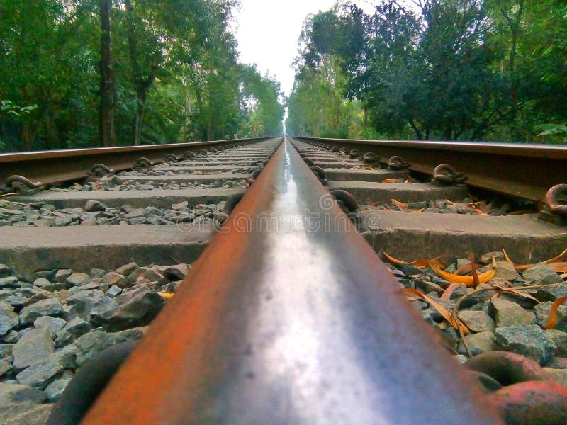 Lots of Beautiful Rail Lines Stock Photo - Image of trail, bridge ...