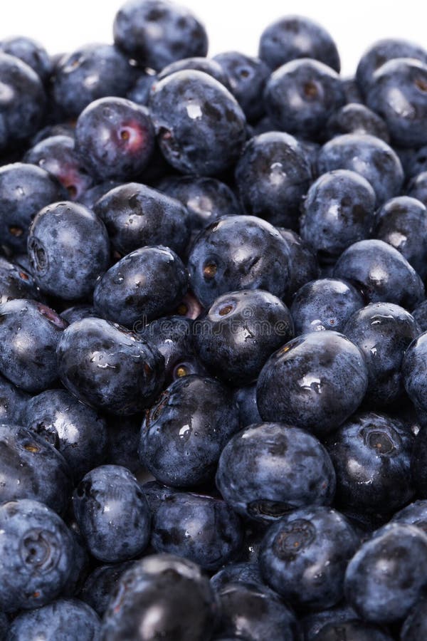 Lots of blueberries stock image. Image of blueberry, health - 45040103