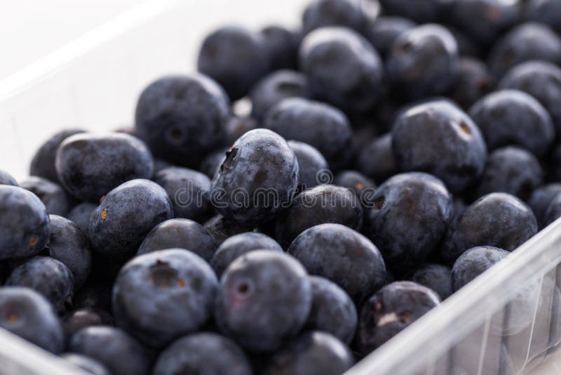 Lots of blueberries stock image. Image of close, fruit - 45043059