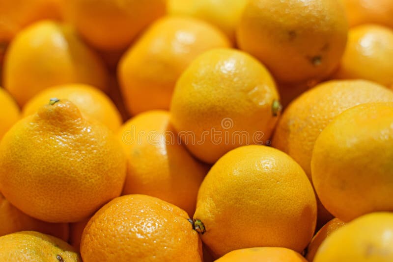 Lots of bright oranges stock image. Image of fresh, bunch - 229793591