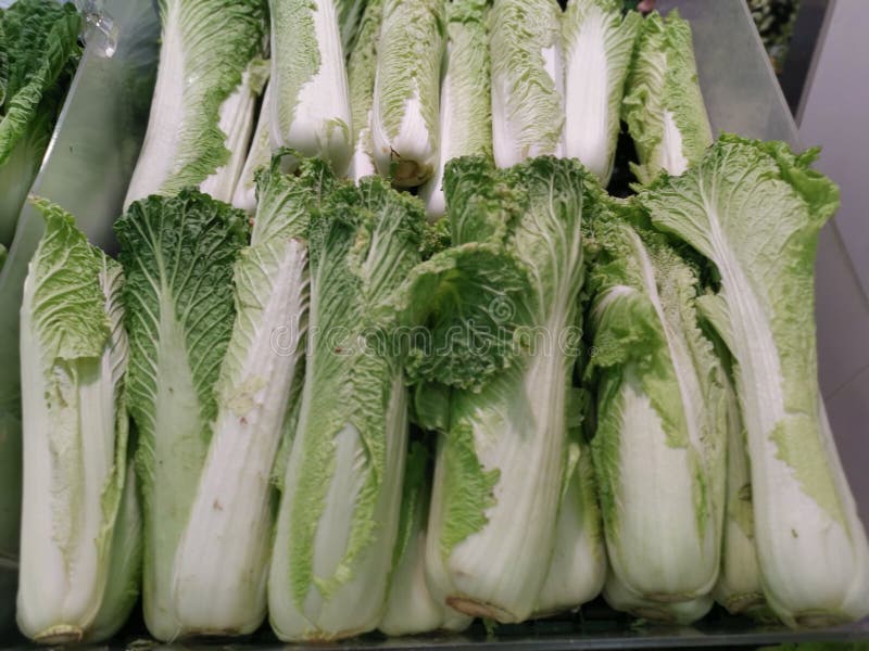 Lots of the China Long Cabbage Stock Photo - Image of market, cooking ...