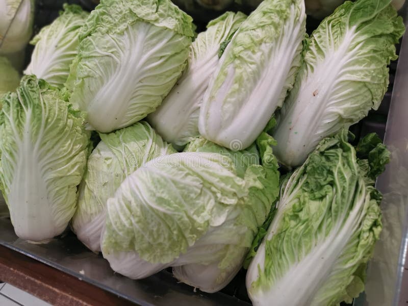 Lots of the China Long Cabbage Stock Photo - Image of cutivar, brassica ...