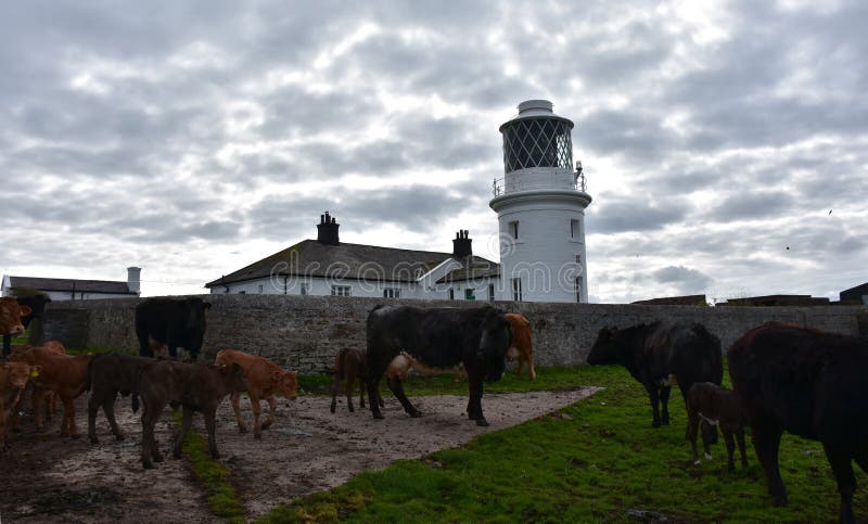 St Bees Lighthouse Stock Photos - Free & Royalty-Free Stock Photos from ...