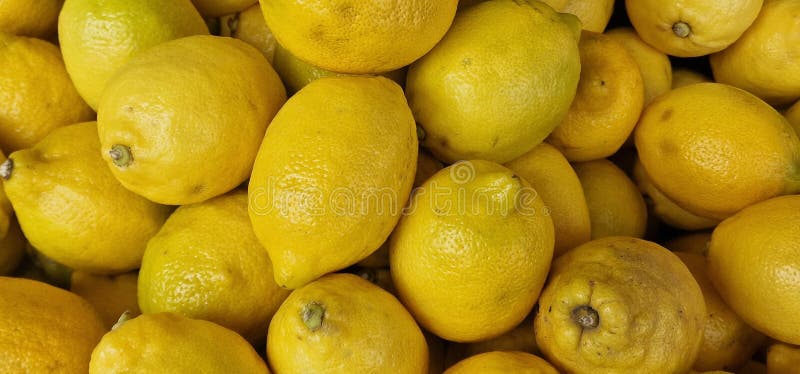 Lots of Delicious Lemons Next To Each Other Stock Image - Image of ...