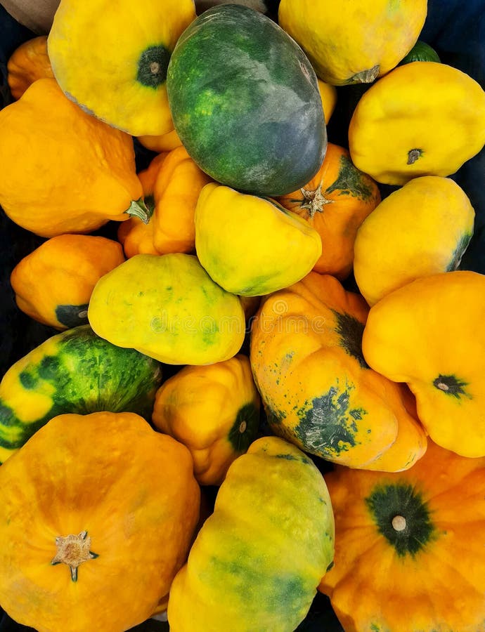 Lots of Different Pumpkins in Orange, Yellow and Green Stock Image ...