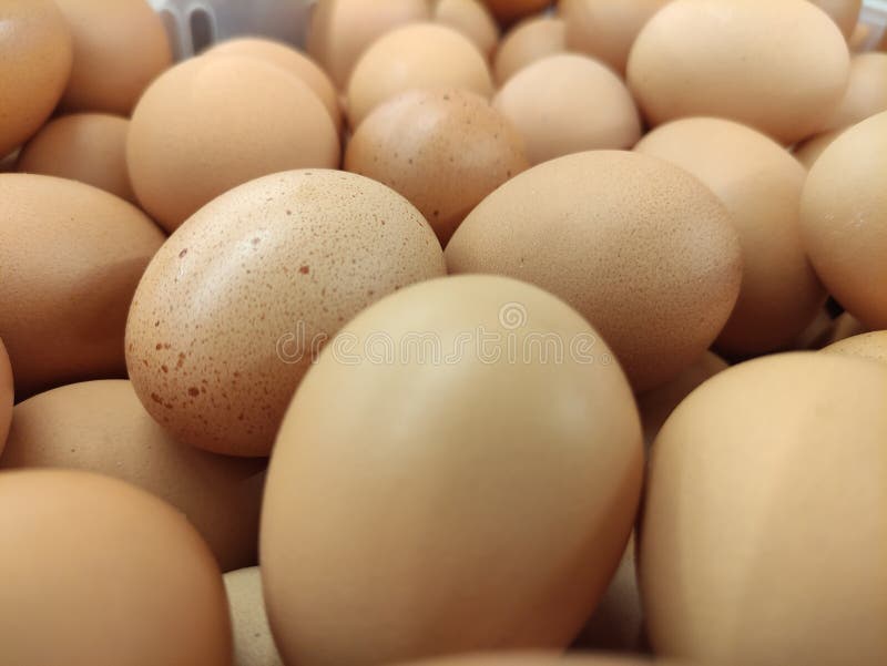 Lots of Eggs in Market stock image. Image of baking - 204201393