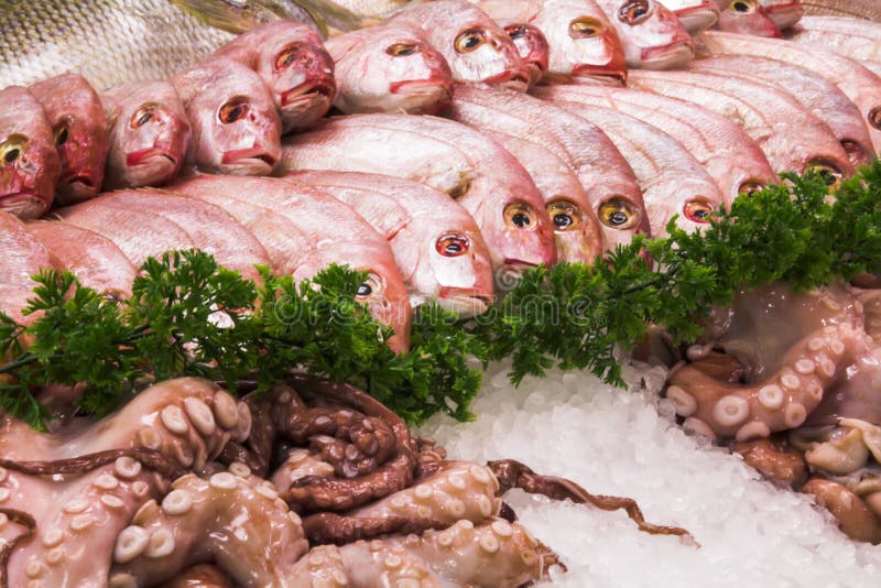 Fish and squid stock photo. Image of dinner, cold, food - 29723922