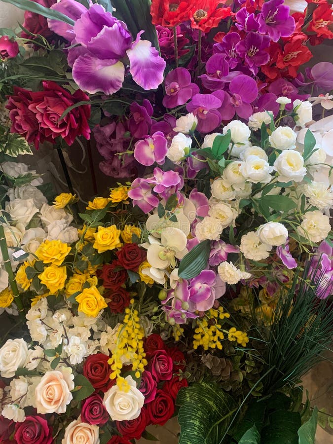 Lots Flower Plants Showcase Background Stock Photos - Free & Royalty ...