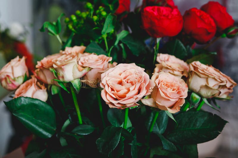 Lots of Flowers in a Flower Shop Stock Photo - Image of growth, flora ...
