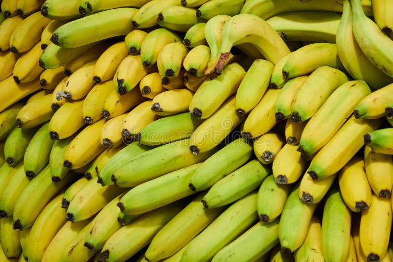 Lots of Fresh Bananas. Background with Close-up Shooting Stock Photo ...