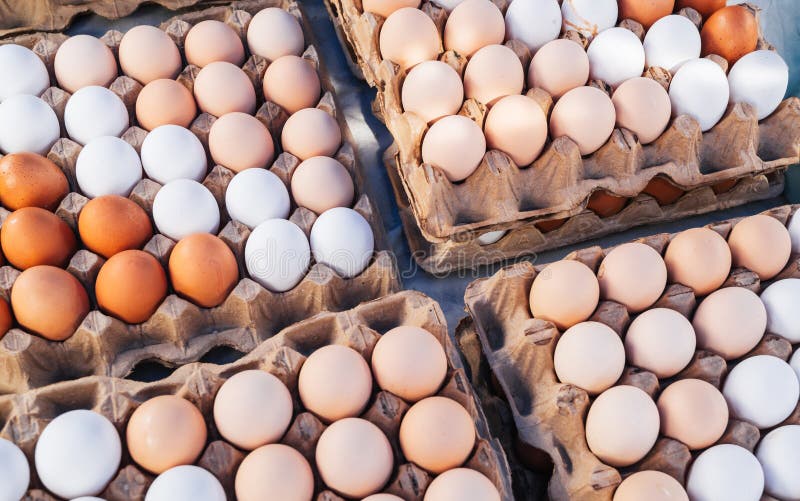 Lots of Fresh Chicken S Eggs in Egg Panel Stock Photo - Image of fresh ...