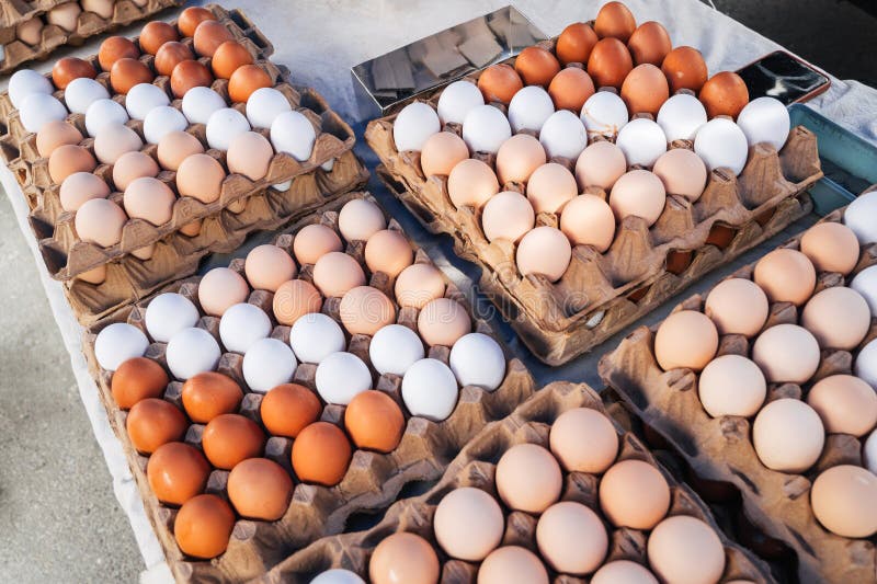 Lots of Fresh Chicken S Eggs in Egg Panel Stock Photo - Image of market ...