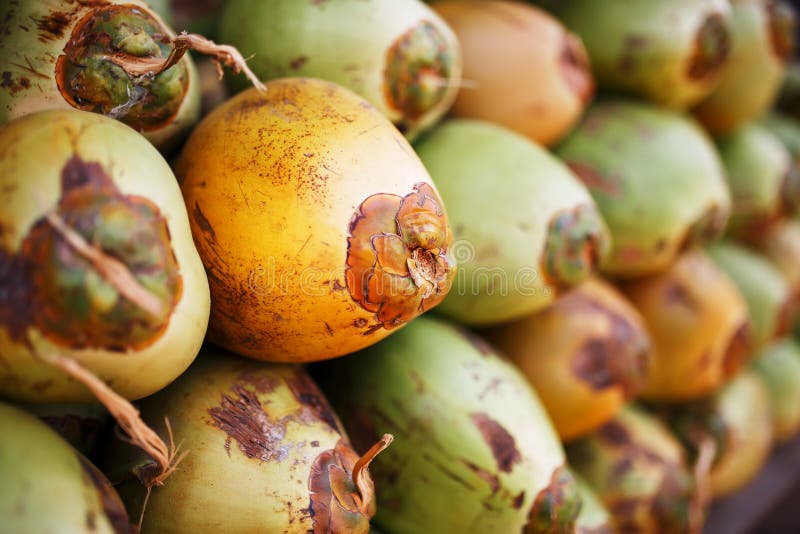 Stack Young Coconuts Stock Photos - Free & Royalty-Free Stock Photos ...
