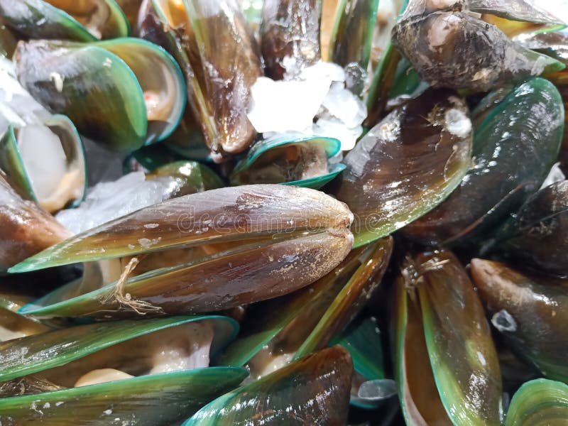 Green shells of coconuts stock image. Image of food, shell - 95068301
