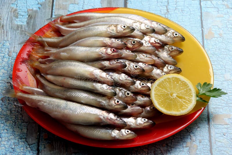 Lots of Fresh Smelt Fish on White Plate, Gutted Fish Stock Photo ...