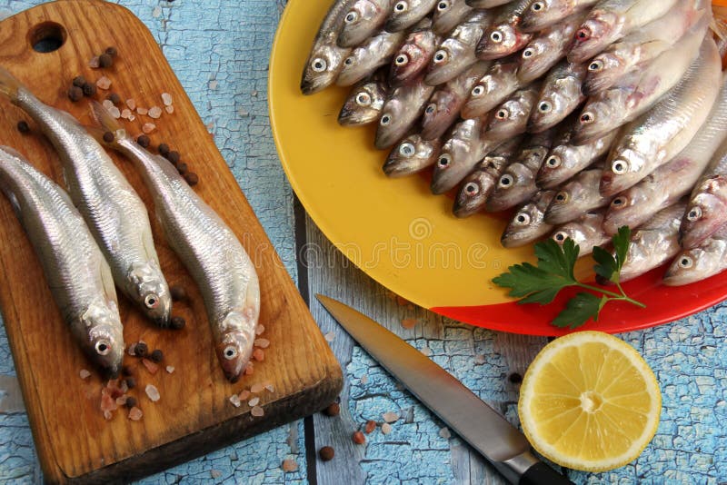 Lots of Fresh Smelt Fish on White Plate, Gutted Fish Stock Photo ...