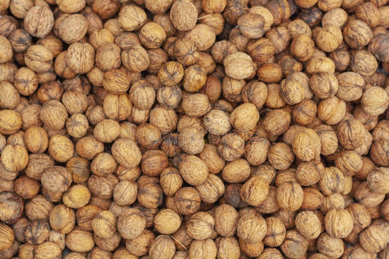 Lots of Fresh Walnuts Top View Stock Photo - Image of group, healthy ...