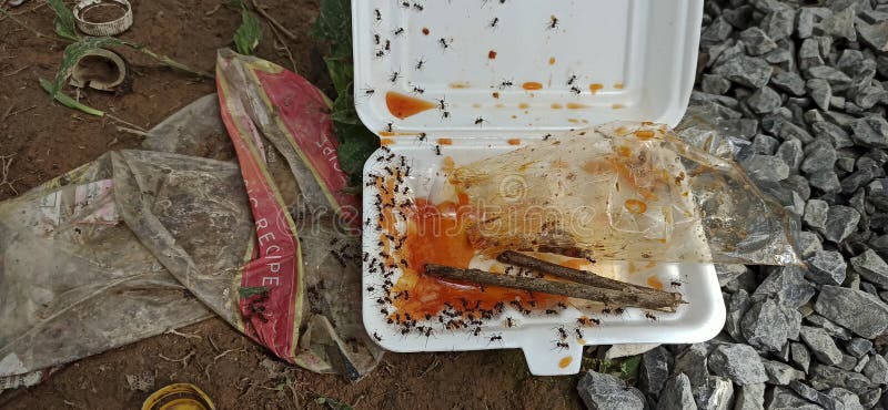 Ants Garbage Stock Photos - Free & Royalty-Free Stock Photos from ...