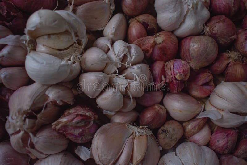 Lots of Garlic Soaked in Water Stock Image - Image of clean, nutrition ...