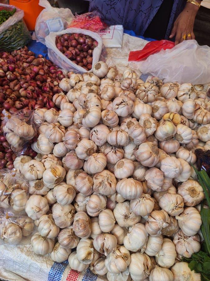 Lots of Garlic in Traditional Market Stock Photo - Image of plant, herb ...