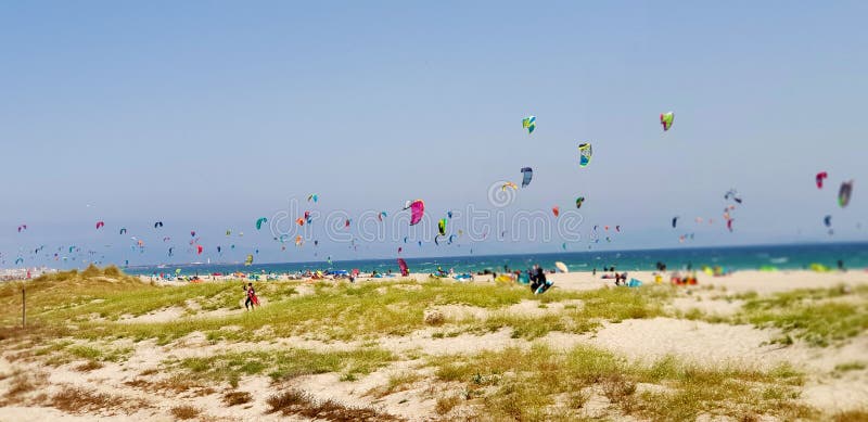 Lots of Kites Flying with the Wind Stock Photo - Image of southern ...