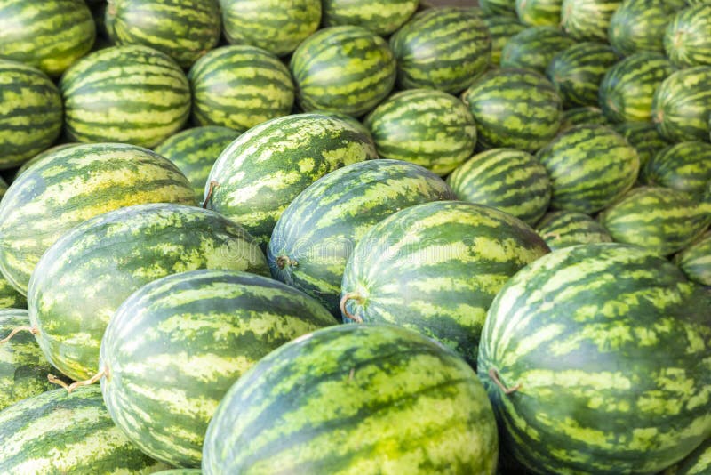 Watermelons Uesd Stock Photos - Free & Royalty-Free Stock Photos from ...