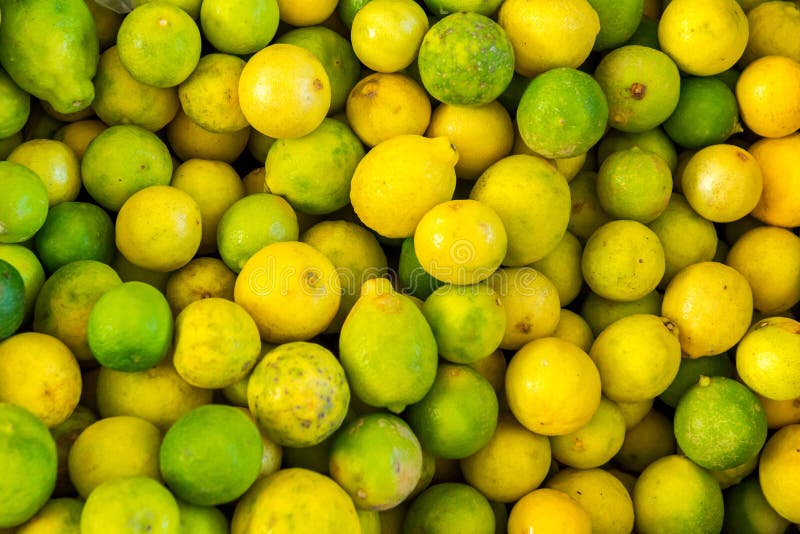 Lots of lemons stock photo. Image of closeup, yellow - 95628526