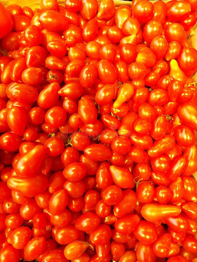 Lots of Little Red Tomatoes Stock Image - Image of flower, gourd: 258279191