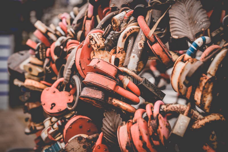 Lots of love stock image. Image of water, dragonflies - 31613749