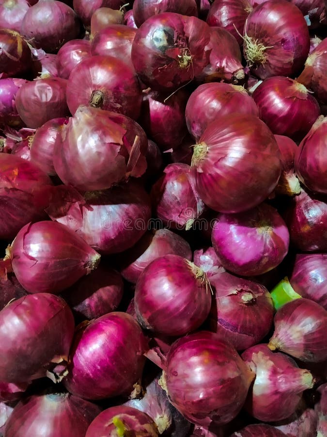 Lots of Onion Top View Texture Stock Image - Image of onions, space ...