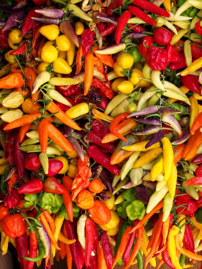 Lots of Peppers, in Different Varieties and Colors Stock Image - Image ...