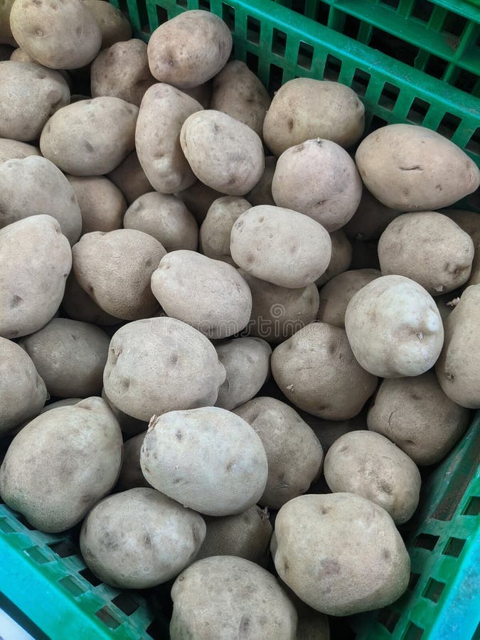 Lots of Potatoes in the Green Basket Stock Photo - Image of apple ...