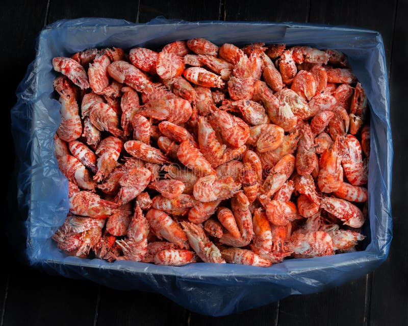 Lots of Prawns in a Box. Seafood Healthy Stock Photo - Image of cookery ...