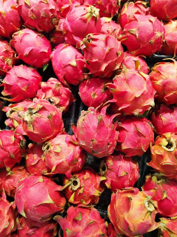 Lots of Red Pitaya Dragonfruits Stock Image - Image of asian ...