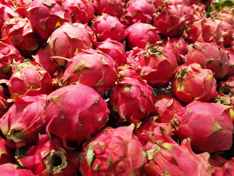 Lots of Red Pitaya Dragonfruits Stock Image - Image of delicious ...