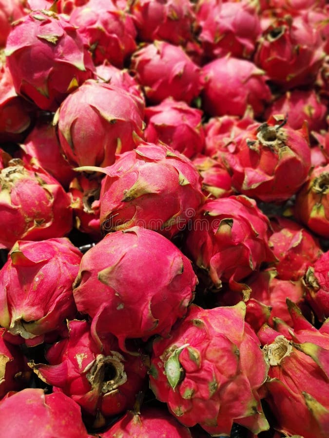 Lots of Red Pitaya Dragonfruits Stock Photo - Image of juicy, diet ...