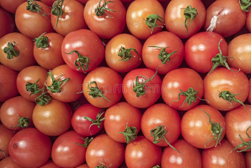 Lots of Red Tomatoes. View from Above Stock Image - Image of color ...
