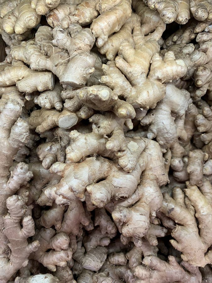 Lots of Ginger Root for Eating As a Background Stock Photo - Image of ...