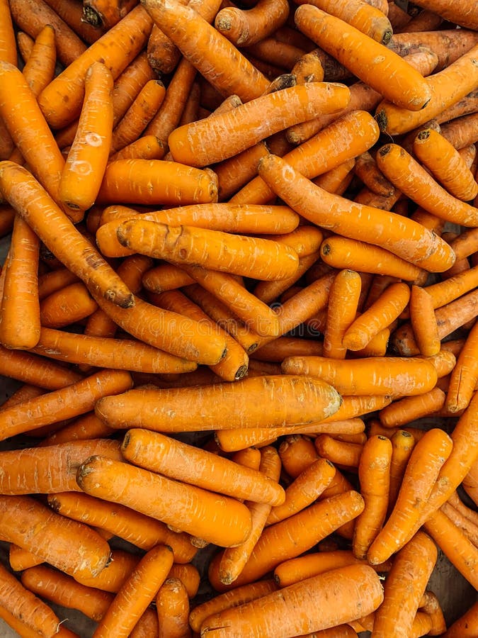 Lots of Ripe Red Carrots for Cooking Background Stock Image - Image of ...