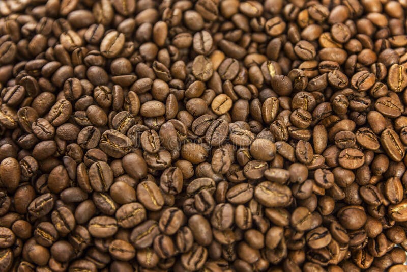 Lots of Roasted Coffee Beans. Background Stock Image - Image of mocha ...