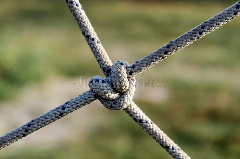 Lots of Ropes and a Big Knot Stock Photo - Image of isolated ...