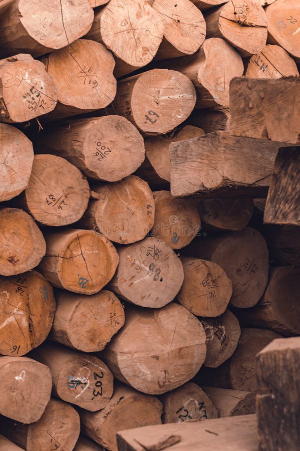 Lots of Round and Square Shaped Flitch Stock Photo - Image of burn ...