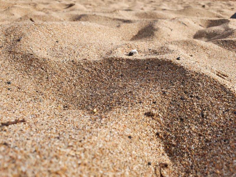 Lots of sand at summer stock photo. Image of rock, invertebrate - 209776670