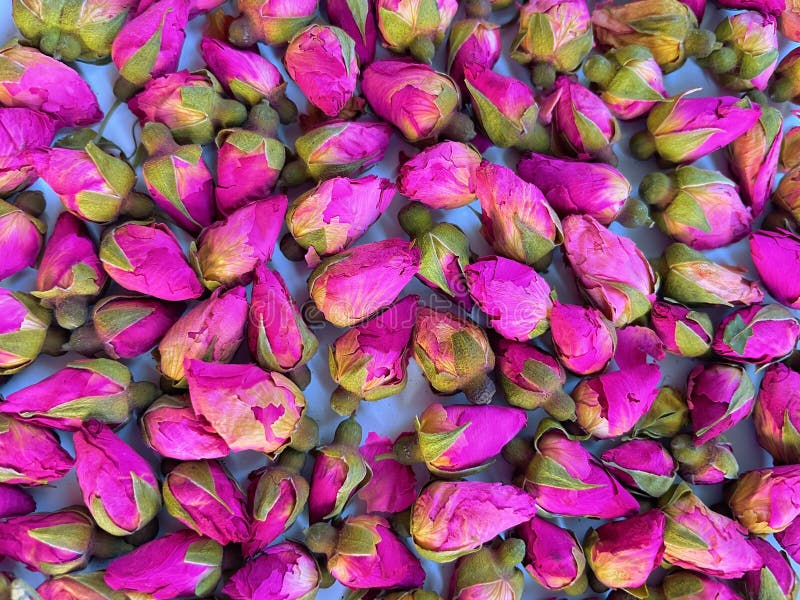 Lots of Small Pink Rose Buds Stock Image - Image of healing, decoration ...