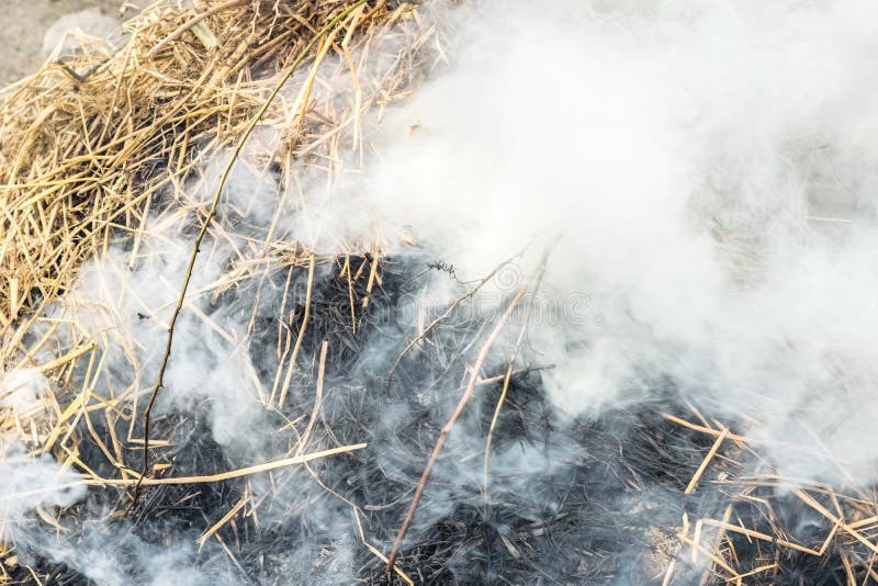 Lots of Smoke Cause of Fire Burn Stock Photo - Image of ground, flame ...